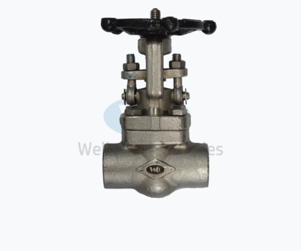 Gate valve – Wellcast Industries
