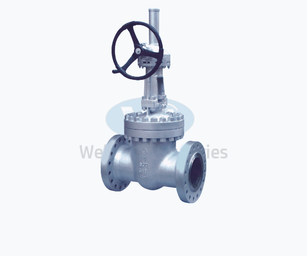 Globe Valve – Wellcast Industries