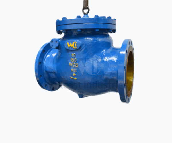 Check Valve – Wellcast Industries